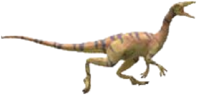 Procompsognathus | DinoPedia - The Dino Dan Wiki | Fandom