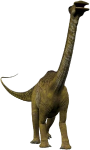 Nigersaurus | DinoPedia - The Dino Dan Wiki | Fandom