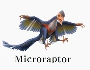Microraptor | DinoPedia - The Dino Dan Wiki | Fandom