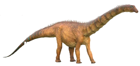Diplodocus | DinoPedia - The Dino Dan Wiki | Fandom