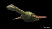 Plesiosaurus | DinoPedia - The Dino Dan Wiki | Fandom