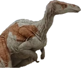 Hippodraco | DinoPedia - The Dino Dan Wiki | Fandom