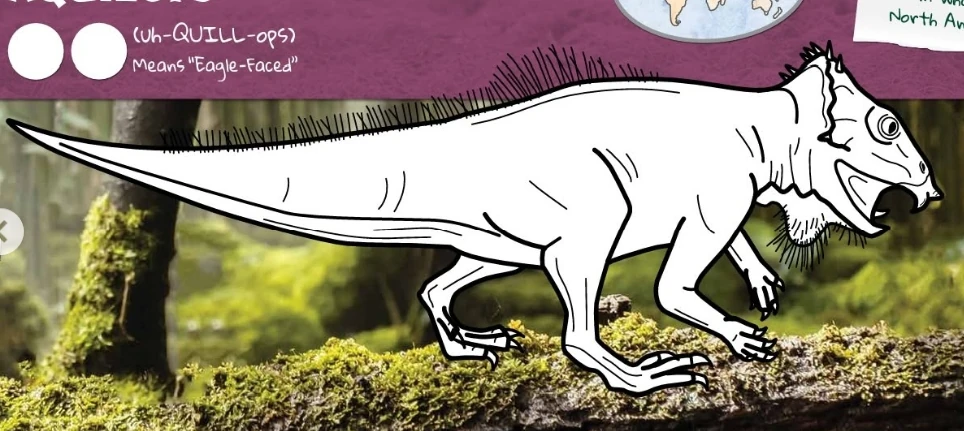 Aquilops | DinoPedia - The Dino Dan Wiki | Fandom