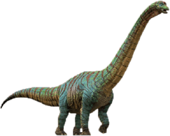 Futalognkosaurus | DinoPedia - The Dino Dan Wiki | Fandom