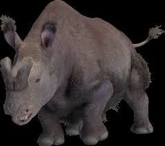 Megacerops | DinoPedia - The Dino Dan Wiki | Fandom