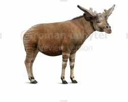 Sivatherium | DinoPedia - The Dino Dan Wiki | Fandom