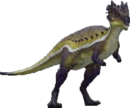 Dracorex | DinoPedia - The Dino Dan Wiki | Fandom