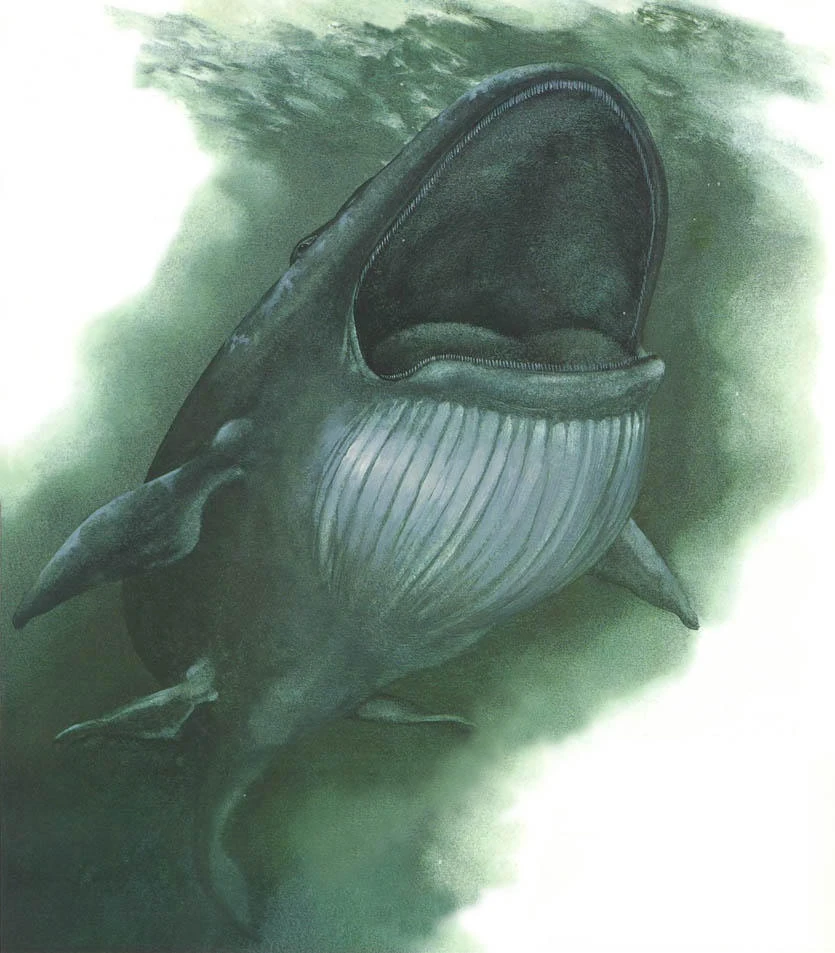 Whulk (The New Dinosaurs) | DinoFroz Wiki | Fandom