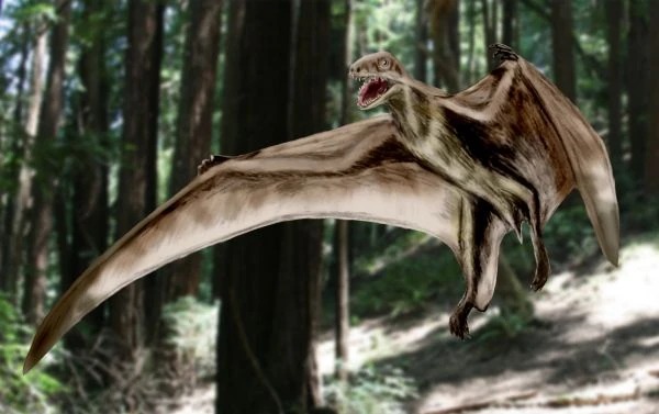 Jeholopterus | DinoFroz Wiki | Fandom