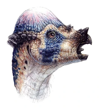 Pachycephalosaurus | DinoLand Wiki | Fandom