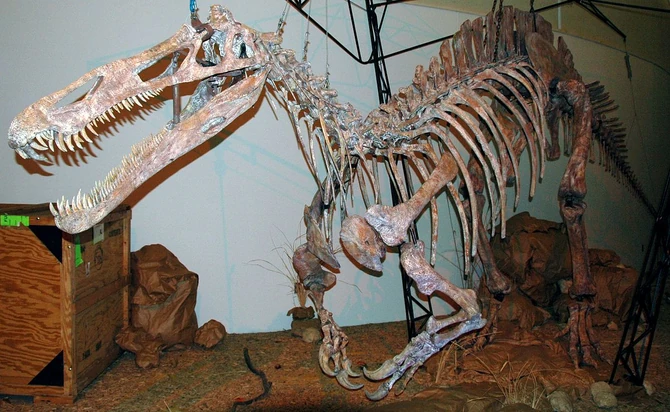 Suchomimus | DinoLand Wiki | Fandom