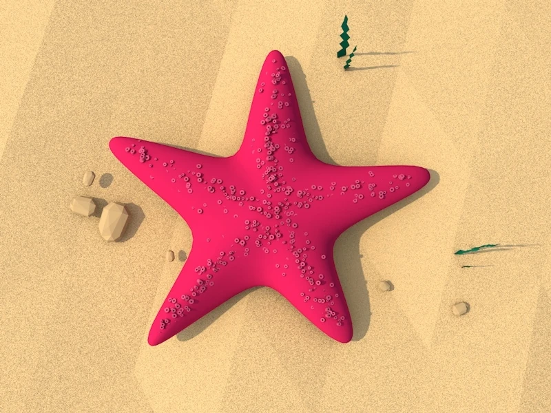 Starfish | DinoPaws Wiki | Fandom