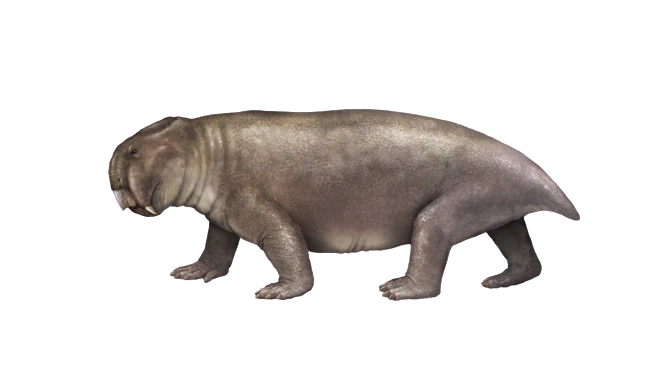 Lystrosaurus | Dinopedia: The Game Wiki | Fandom