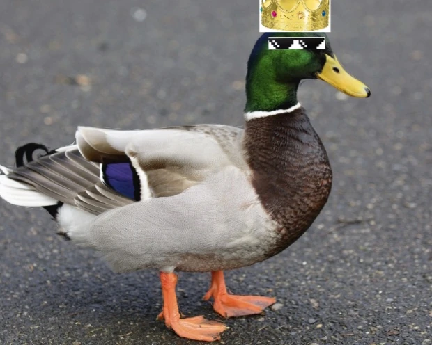 Drake the dino nerd | Dinopedia: The Game Wiki | Fandom