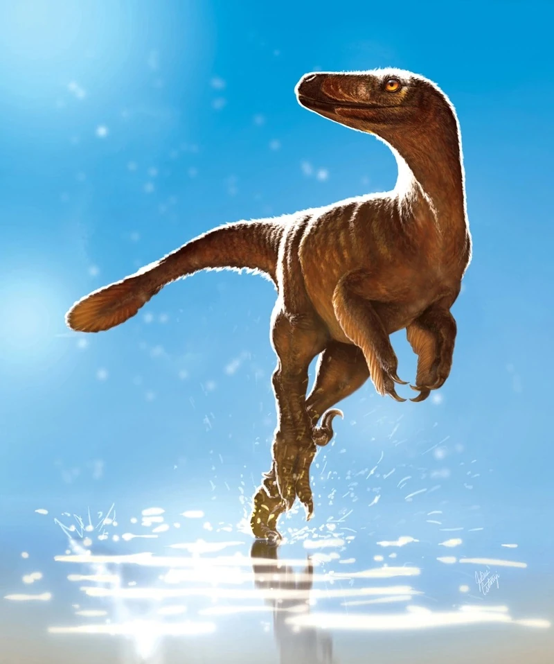 Discuss Everything About Dinopedia: The Game Wiki | Fandom