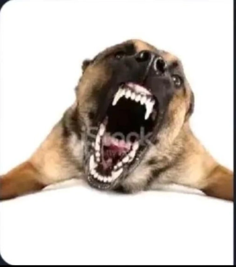 Triple Dog Death Barrage | Dinopedia: The Game Wiki | Fandom