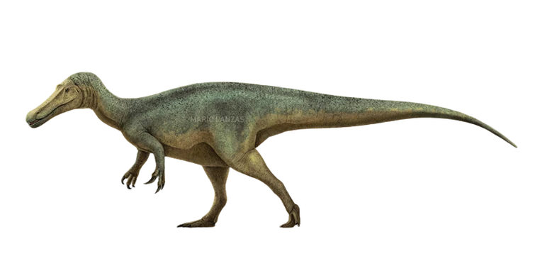BaryonyxLover9870 | Dinopedia: The Game Wiki | Fandom