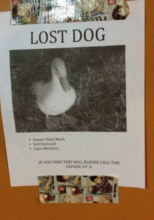 Ducc | Dinopedia War Games Wiki | Fandom