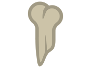 Dinorr.fun Wiki | Fandom