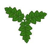 Fern | Dinorr.fun Wiki | Fandom