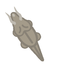 Triceratops | Dinorr.fun Wiki | Fandom