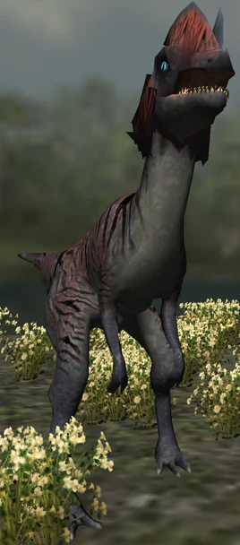 Player | Dinos Online Wiki | Fandom