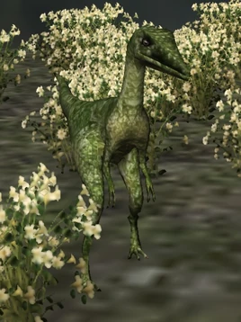 Player | Dinos Online Wiki | Fandom