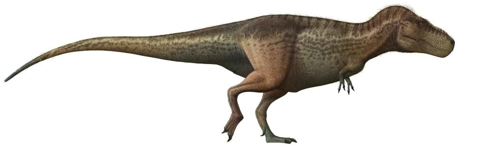 Tyrannosaurus | Dinosaurs Wiki | Fandom