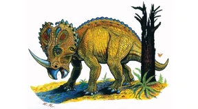 Monoclonius | Dinosaur adventures Wiki | Fandom