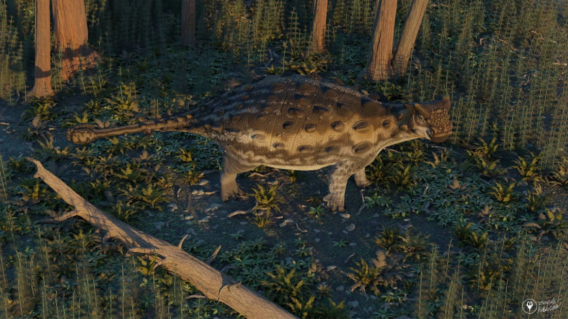 Akainacephalus | DINOSAUR BATTLE WORLD CHAMPIONSHIP(VERSION 2) Wiki ...