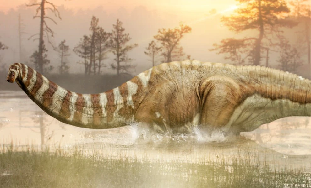 Apatosaurus | Dinosaur Chaos Wiki | Fandom