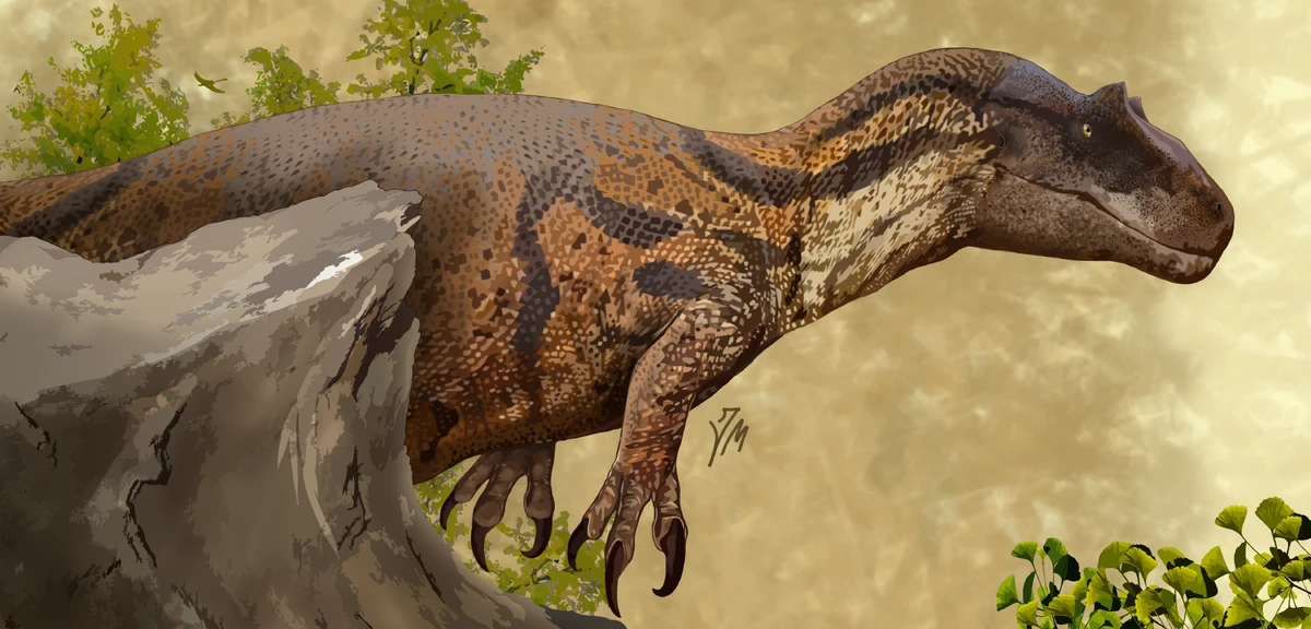 Allosaurus | Dinosaur Chaos Wiki | Fandom