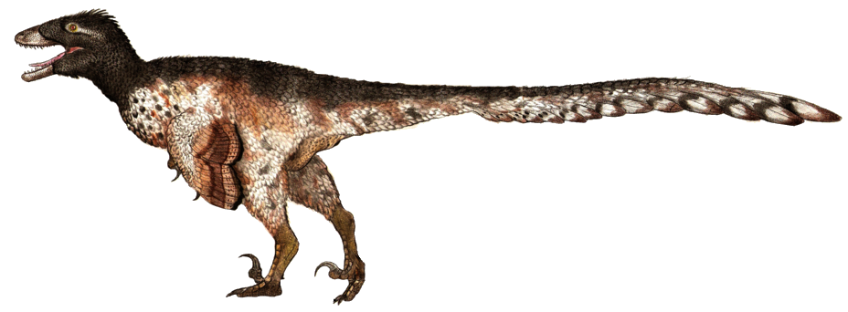 Dakotaraptor Dinosaur Wiki Fandom