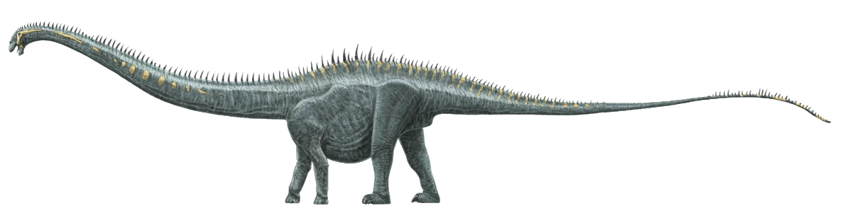 Supersaurus | Dinosaur Wiki | Fandom