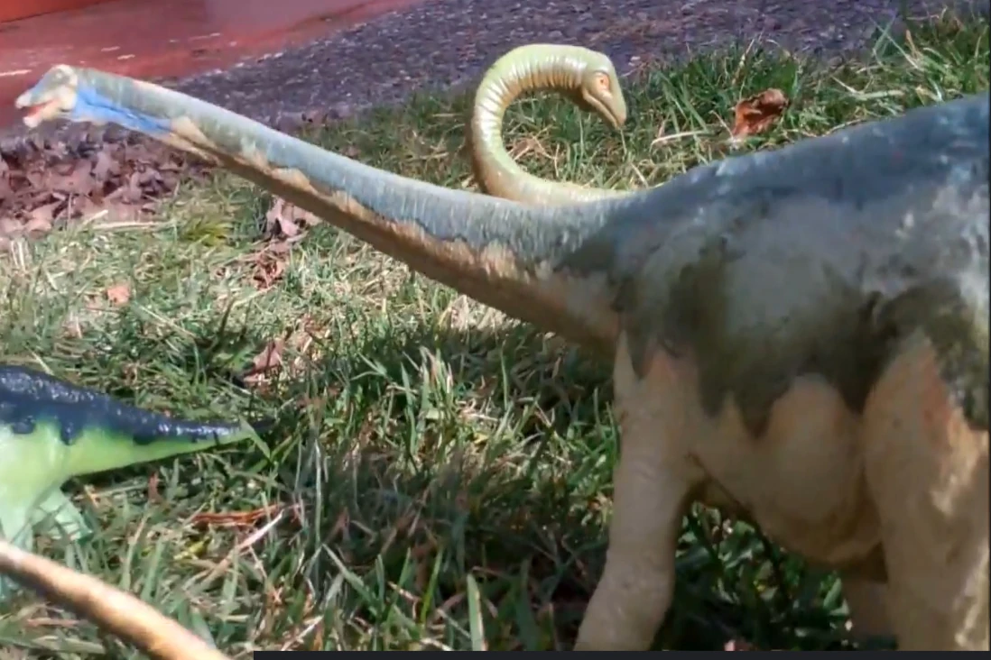 Diplodocus | Dinosaur Island Wikia | Fandom