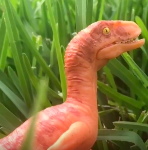 Magma | Dinosaur Island Wikia | Fandom