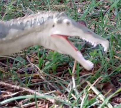 Spiney | Dinosaur Island Wikia | Fandom