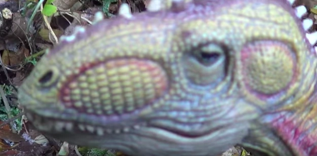 Gray-fang | Dinosaur Island Wikia | Fandom