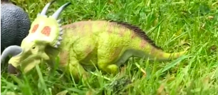 Quill | Dinosaur Island Wikia | Fandom