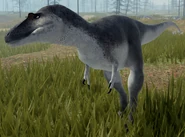 Lythronax | Dinosaur Mobile World Wiki | Fandom
