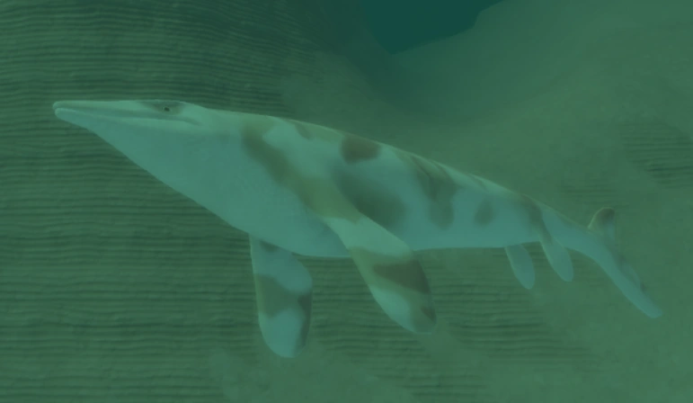 Clidastes | Dinosaur Mobile World Wiki | Fandom