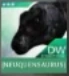Neuquensaurus | Dinosaur Mobile World Wiki | Fandom