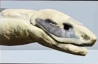 Palaeophis | Dinosaur Mobile World Wiki | Fandom