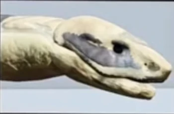 Palaeophis | Dinosaur Mobile World Wiki | Fandom