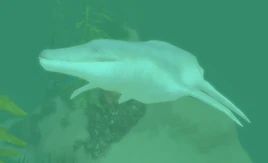 Sachicasaurus | Dinosaur Mobile World Wiki | Fandom