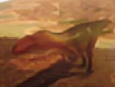 Kelmayisaurus/Gallery | Dinosaur Mobile World Wiki | Fandom