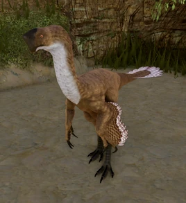 Citipati | Dinosaur Mobile World Wiki | Fandom