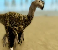 Citipati | Dinosaur Mobile World Wiki | Fandom