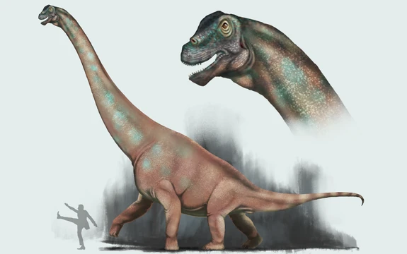 Austrosaurus | Dinosaur Pedia Wikia | Fandom