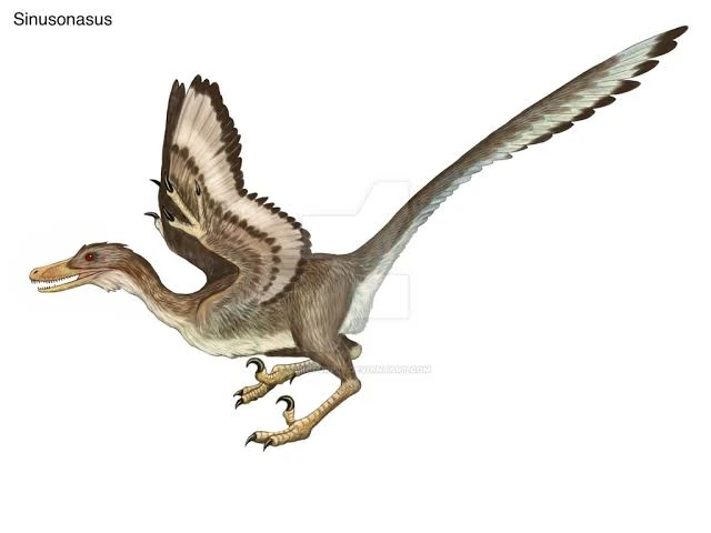 Sinusonasus | Dinosaur Pedia Wikia | Fandom